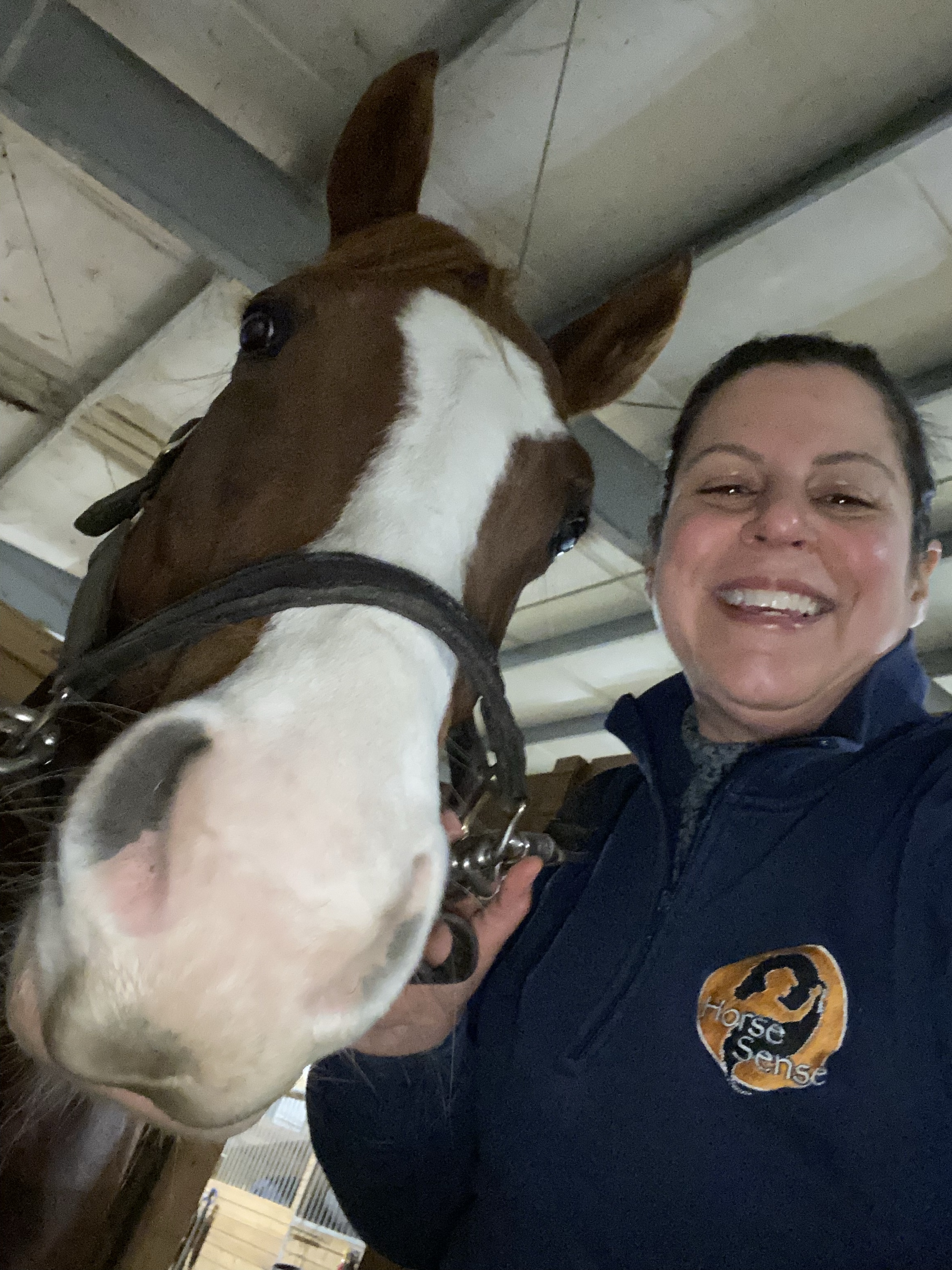 Wednesday Evening Diary – let’s dance! – Confessions of an Equestrianoholic